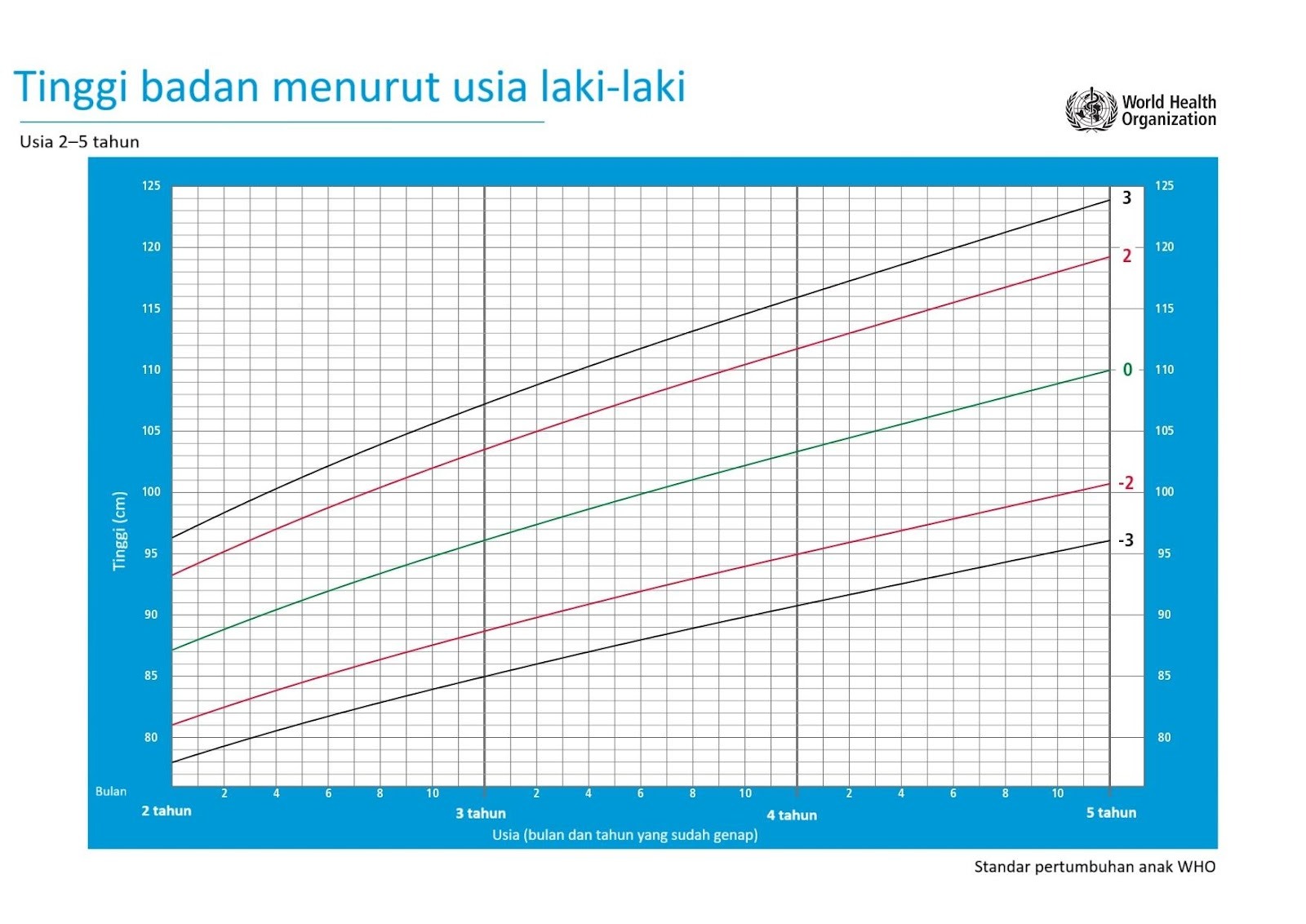 Tinggi Badan Anak Ideal Usia 1-5 Tahun Menurut WHO