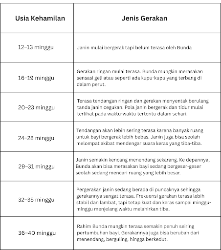 Kapan Janin Mulai Bergerak dalam Kandungan?