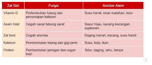 Kehamilan 9 Minggu: Janin Sudah Terbentuk Lengkap